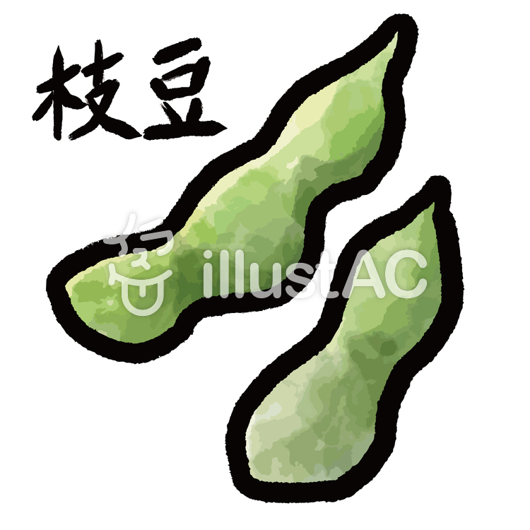 枝豆イラスト No 1208253／無料イラストなら「イラストac」
