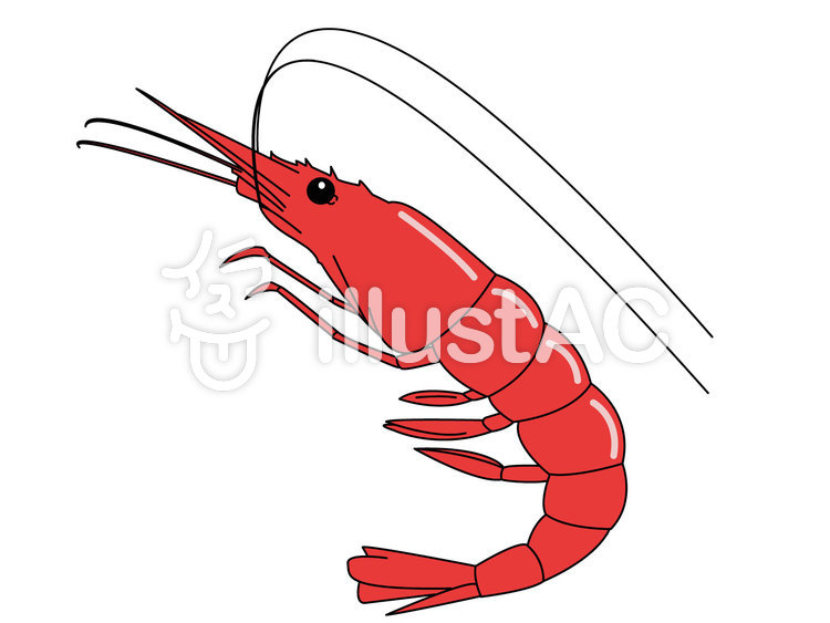海老イラスト - No: 1001914／無料イラストなら「イラストAC」