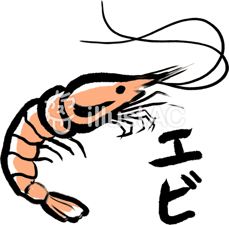 海老イラスト - No: 1232034／無料イラストなら「イラストAC」